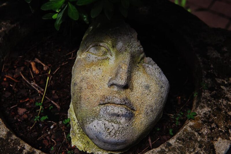 New York City: The Garden Photo Tour - Discovering a Hidden Corner of NYC: The Overview