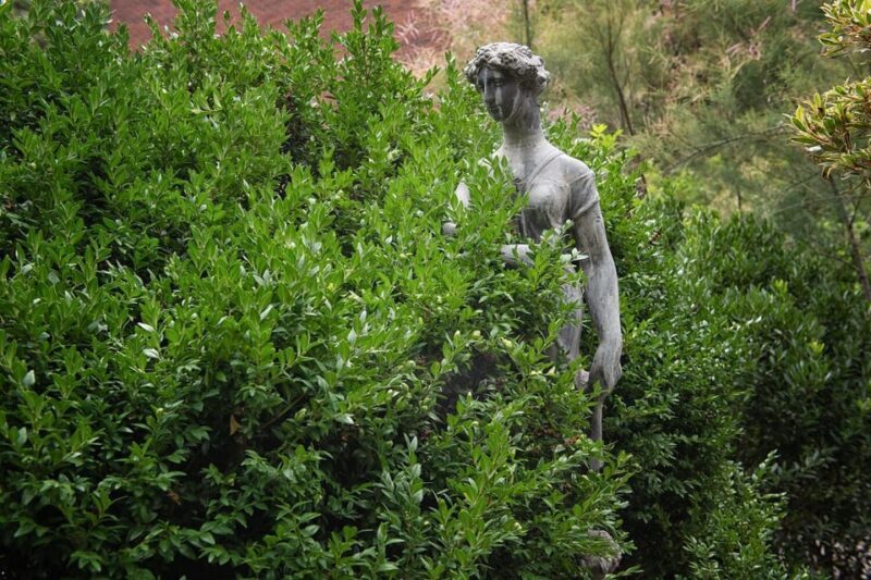 New York City: The Garden Photo Tour - The Sum Up: Why You Should Consider This Tour