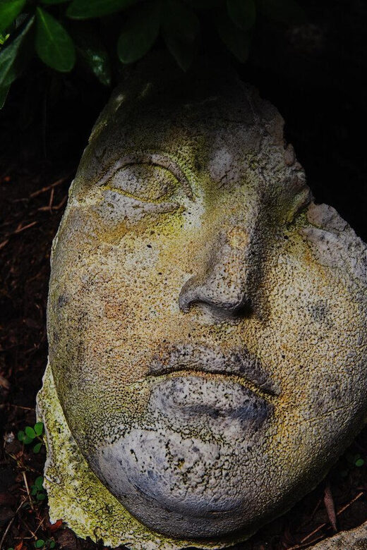 New York City: The Garden Photo Tour - FAQ