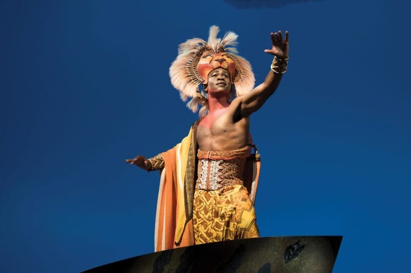 New York City: The Lion King Broadway Entry Tickets - Critical Details for Planning Your Visit