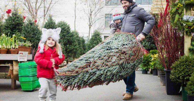 New York Citys Iconic Christmas Tour - An Authentic Look at NYC’s Holiday Charm
