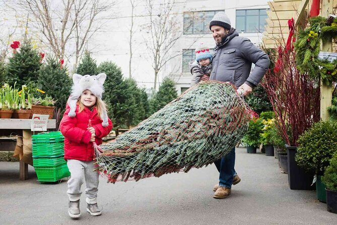 New York City's Iconic Christmas Tour - A Festive Walk in the Heart of Manhattan