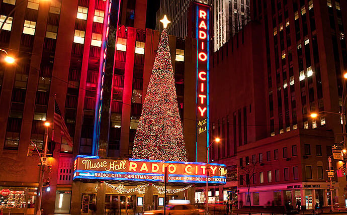 New York Holiday Lights & Grand Central - FAQ