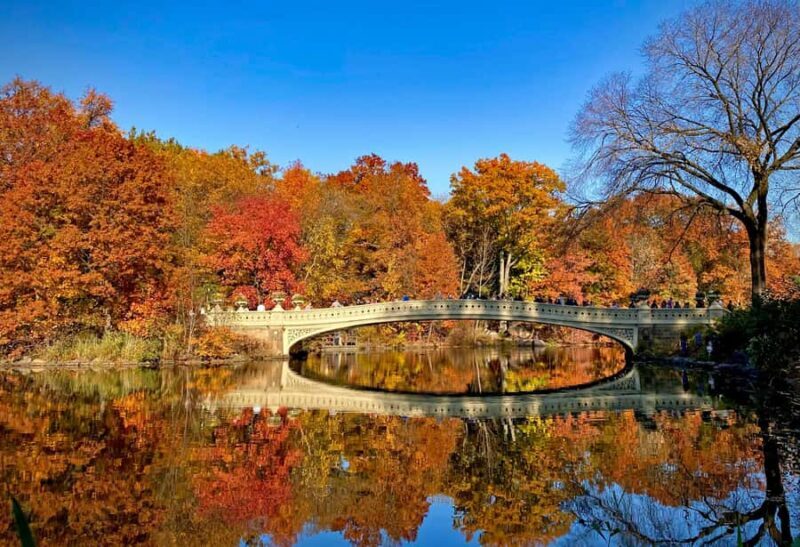 New York: Manhattan Highlights - Central Park & Rich areas - Final thoughts: Who should consider this tour?