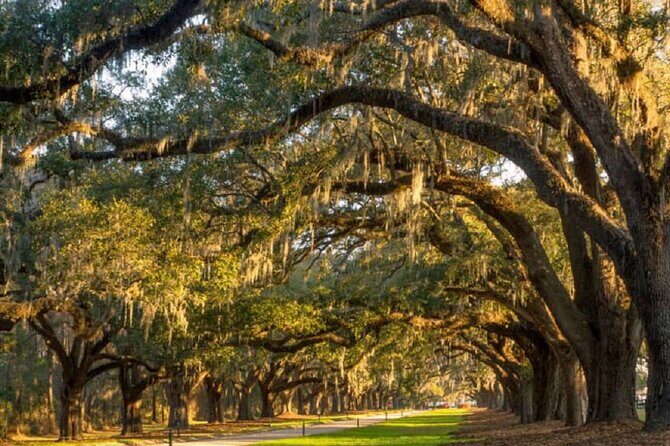 New York to Charleston 5-Day Tour - Day 3: Reaching the Heights and the Cultural Heart of Charlotte