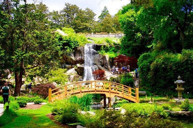 New York to Charleston 5-Day Tour - Transportation and Group Dynamics