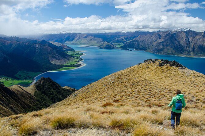 New Zealand Data eSIM - Suitability and Compatibility
