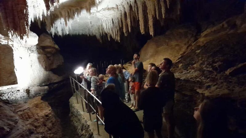 New Zealand: Milky Way Glowworm Cave Tour - The Experience: Insights and Authenticities
