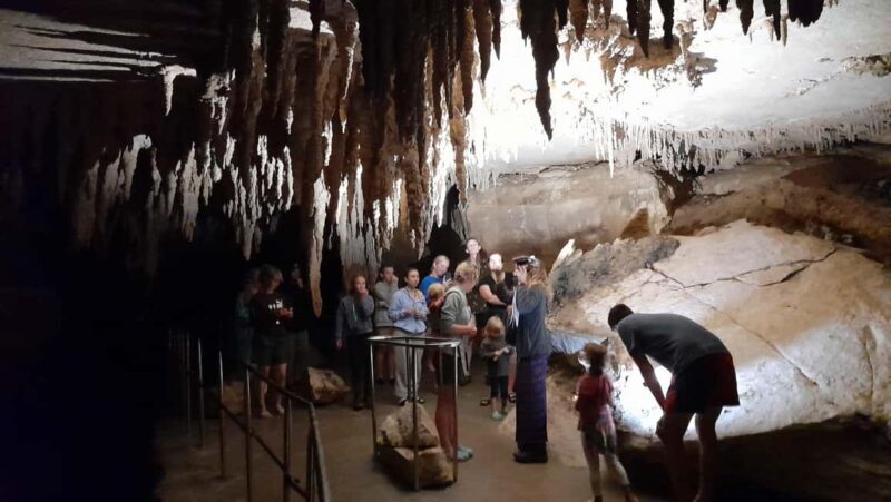 New Zealand: Milky Way Glowworm Cave Tour - The Value and Who Should Consider This Tour