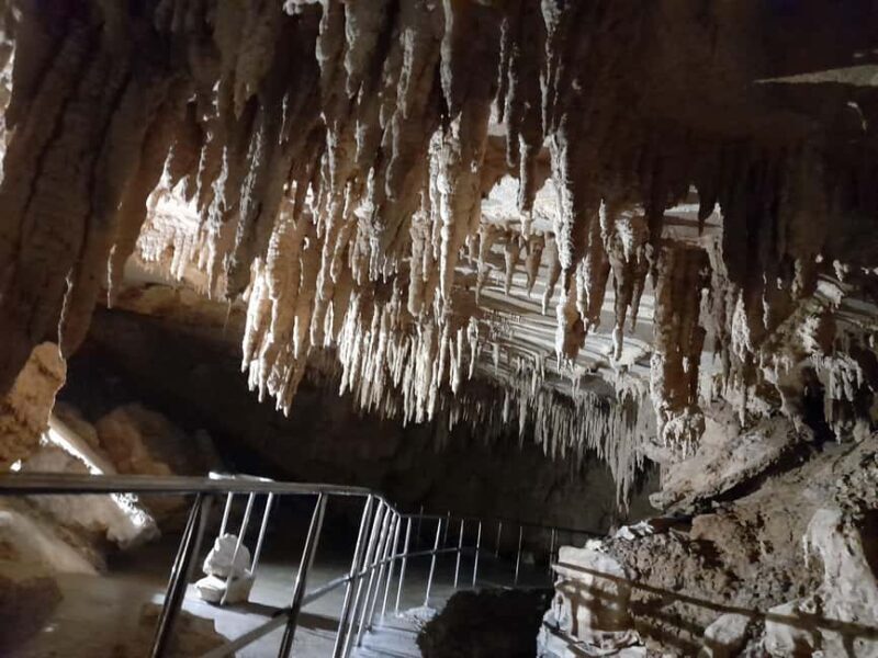 New Zealand: Milky Way Glowworm Cave Tour - Final Thoughts: Is It Worth It?