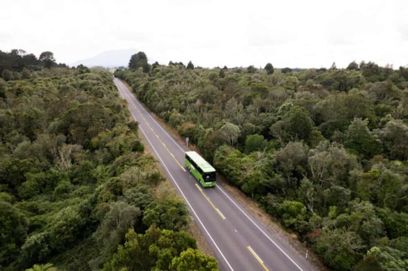New Zealand: National Hop-On Hop-Off Pass - Why Choose the Kiwi Experience’s Hop-On Hop-Off Pass?