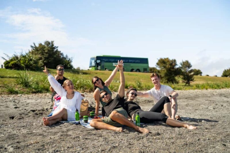 New Zealand: National Hop-On Hop-Off Pass - Pricing and Value