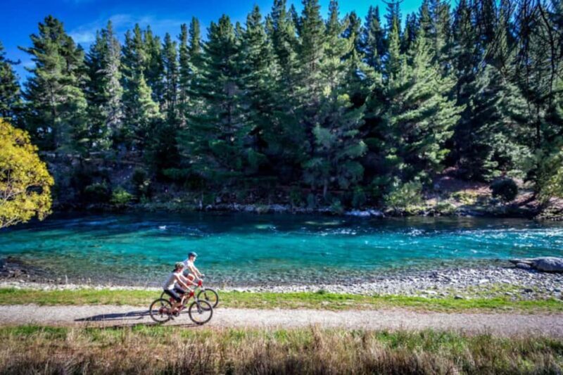 New Zealand: South Island Hop-On Hop-Off Pass - Authentic Experiences and Practical Tips