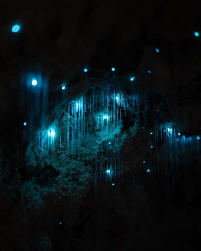 New Zealand: Starburst Cathedral in Milky Way Glowworm Cave - The Value of the Experience