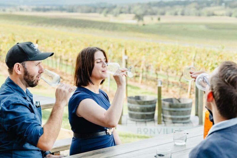 Newcastle: Boutique Hunter Valley Wine Tour - The Overall Experience