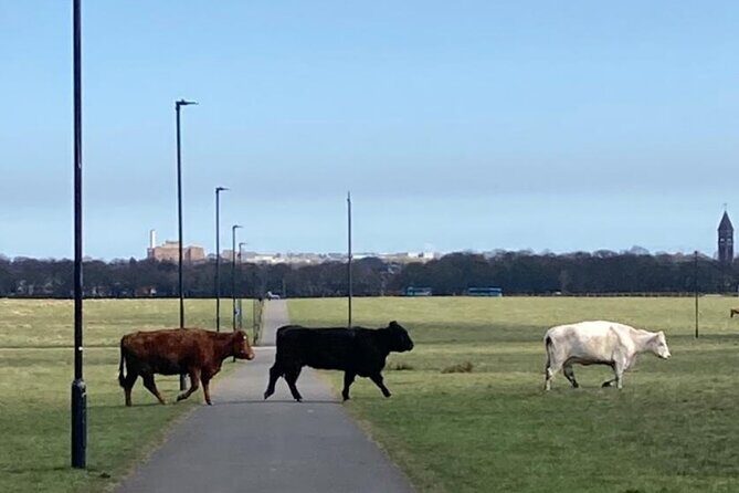 Newcastle Cycling Tour - What to Expect in Practice