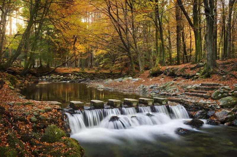 Newcastle: Game of Thrones - Tollymore Forest Trek - Key Points