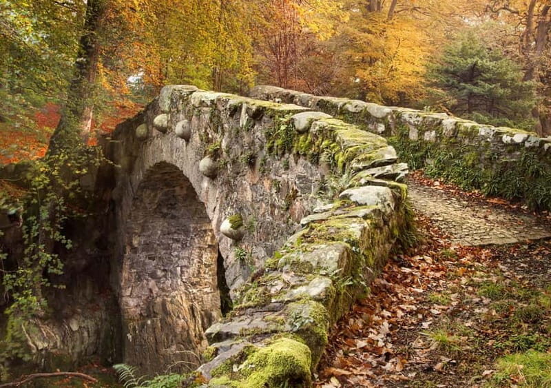Newcastle: Game of Thrones - Tollymore Forest Trek - Considerations Before Booking