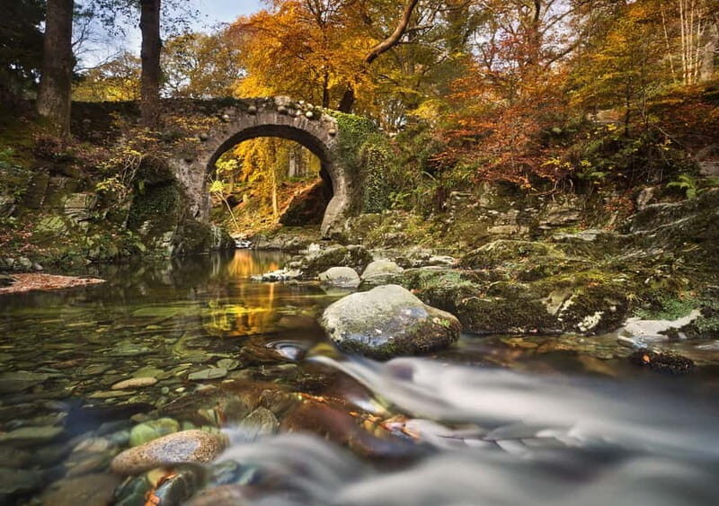 Newcastle: Game of Thrones - Tollymore Forest Trek - FAQ