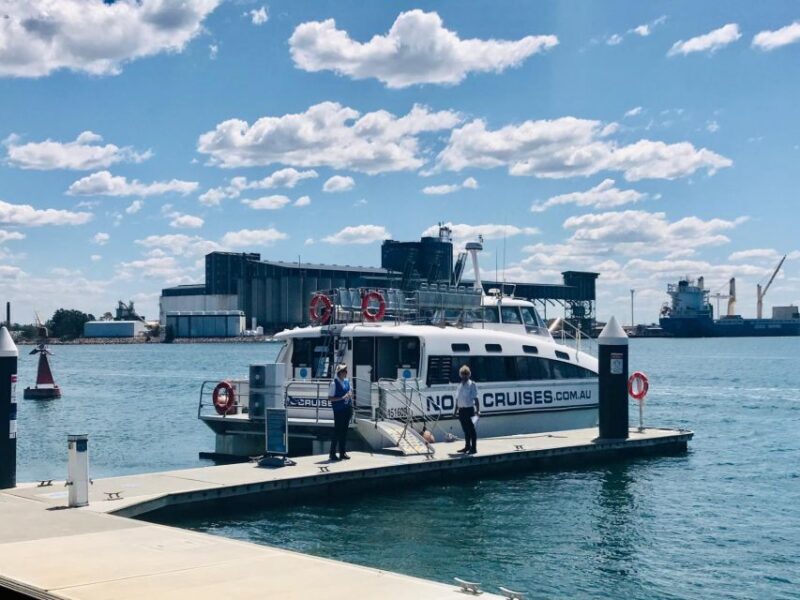 Newcastle: Humpback Whale Watching Cruise and Harbor Tour - A Balanced View: The Good and The Not-So-Good