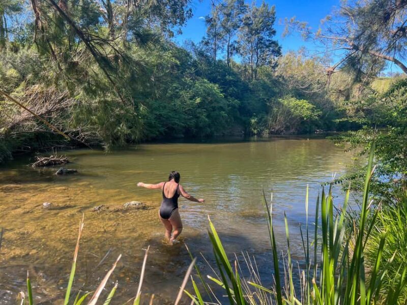 Newcastle: Hunter Valley River & Farm Tour with BBQ - Key Points