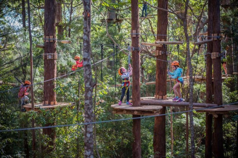 Newcastle: Junior Tree Ropes Course - What Is the Newcastle Junior Tree Ropes Course?