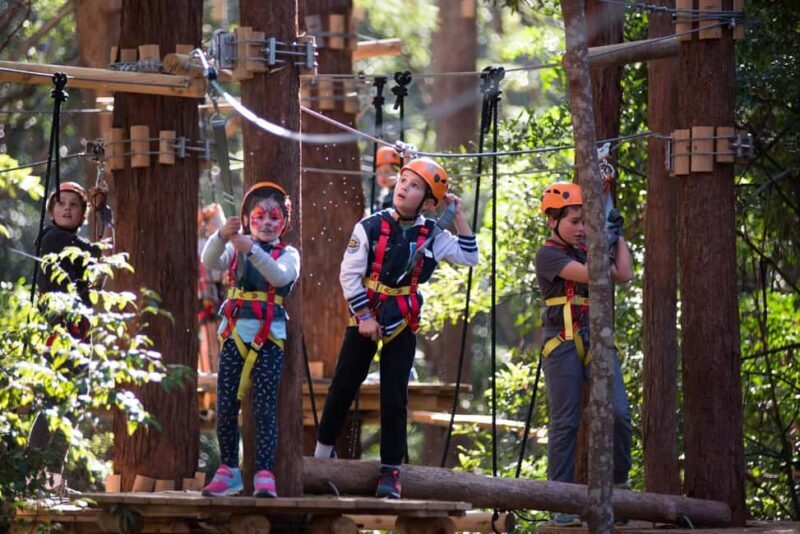 Newcastle: Junior Tree Ropes Course - What to Expect During Your Visit