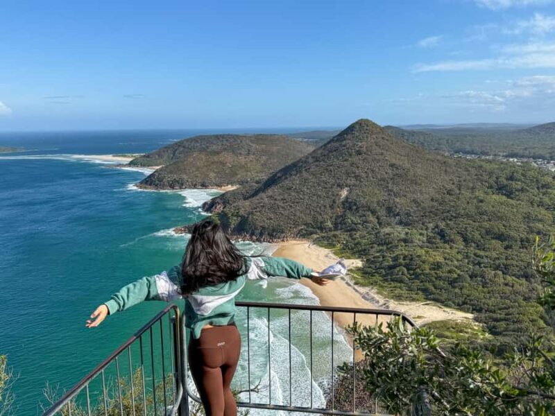 Newcastle: Port Stephens day tour. Dolphins, hike, swim. - The Day-by-Day Experience: What to Expect