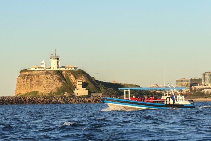 Newcastle: Small Group Humpback Whale Encounter Tour - Final Thoughts