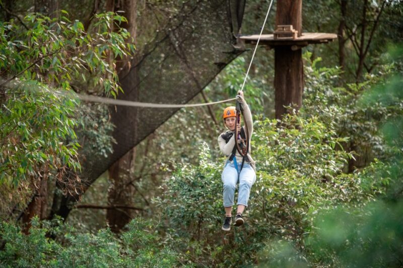 Newcastle: Tree Ropes Course Adventure - Introduction