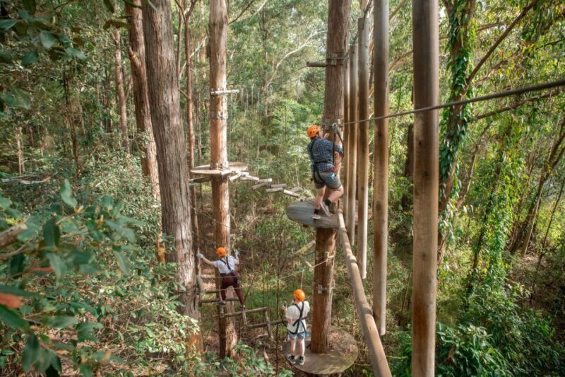 Newcastle: Tree Ropes Course Adventure - Value & Practical Considerations