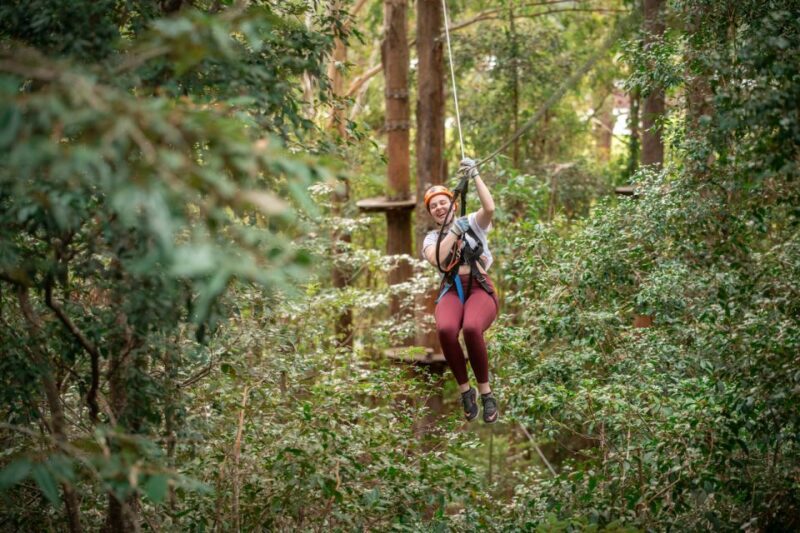 Newcastle: Tree Ropes Course Adventure - FAQ
