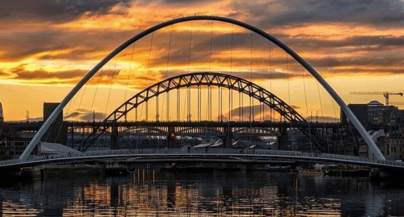 Newcastle: Walking Custom Tour with a Local Guide - Why Choose a Walking Tour in Newcastle?