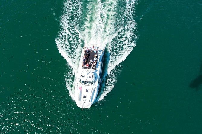 Newcastle Whale Watching Cruise - In-Depth Look at the Newcastle Whale Watching Cruise
