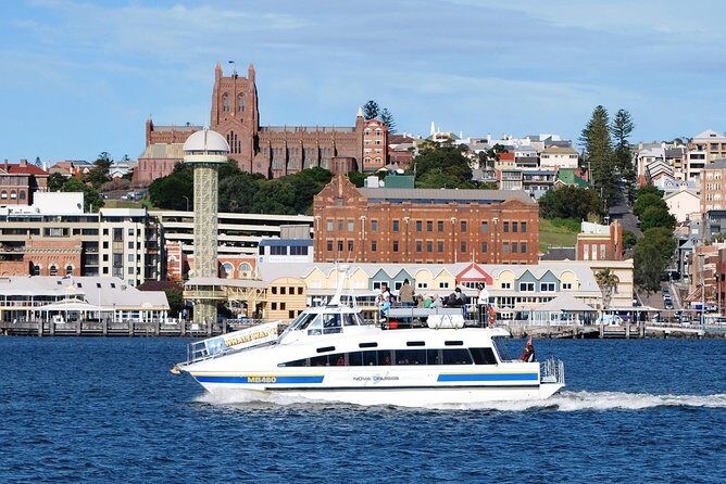 Newcastle Whale Watching Cruise - The Sum Up: Is It Worth It?