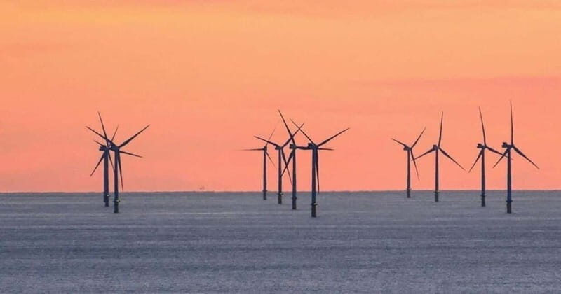 Newhaven: Rampion Offshore Wind Farm Boat Tour - Key Points