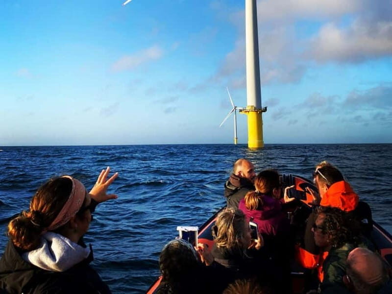 Newhaven: Rampion Offshore Wind Farm Boat Tour - Setting the Scene: What the Tour Offers
