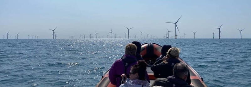 Newhaven: Rampion Offshore Wind Farm Boat Tour - Is It Worth the Price?