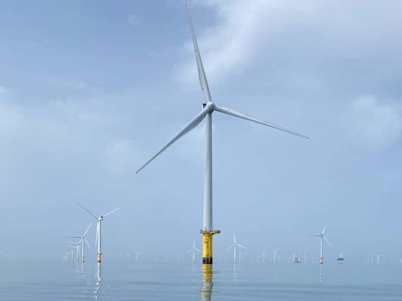 Newhaven: Rampion Offshore Wind Farm Boat Tour - FAQ