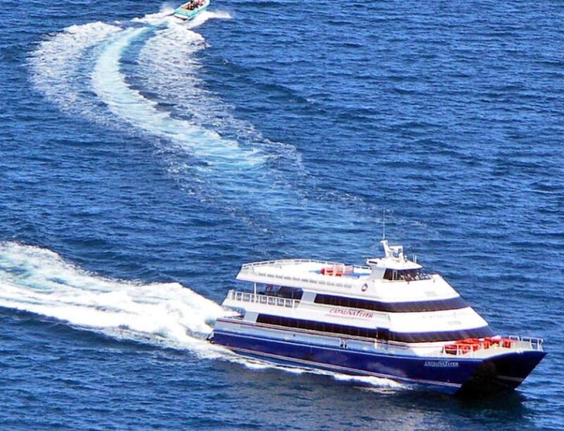Newport Beach: Ferry Ticket to/from Catalina Island - Practical Overview of the Ferry Service