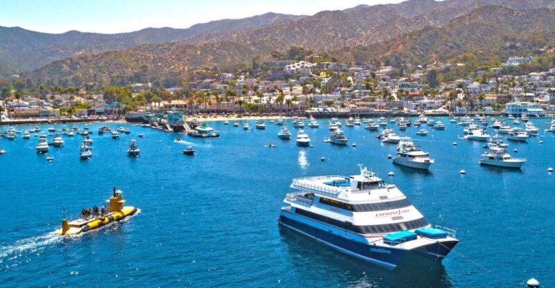 Newport Beach: Ferry Ticket to/from Catalina Island - Who Should Consider This Ferry?