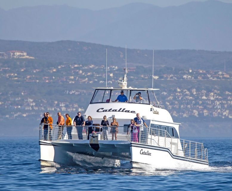 Newport Beach: Luxury Whale Watching Catamaran Cruise - FAQ