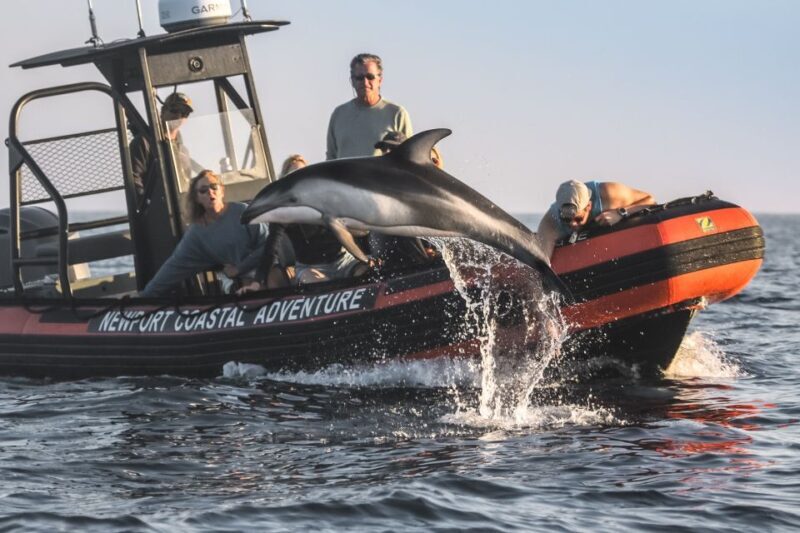 Newport Beach: Ultimate Whale Watching Adventure - Key Points