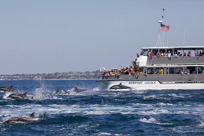 Newport Beach Whale and Dolphin Watching Cruise - Who Should Consider This Tour?