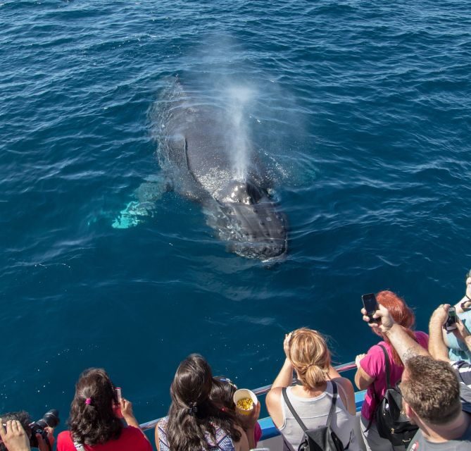 Newport Beach: Year-Round Whale Watching Cruise - The Comforts of the Vessel and Amenities