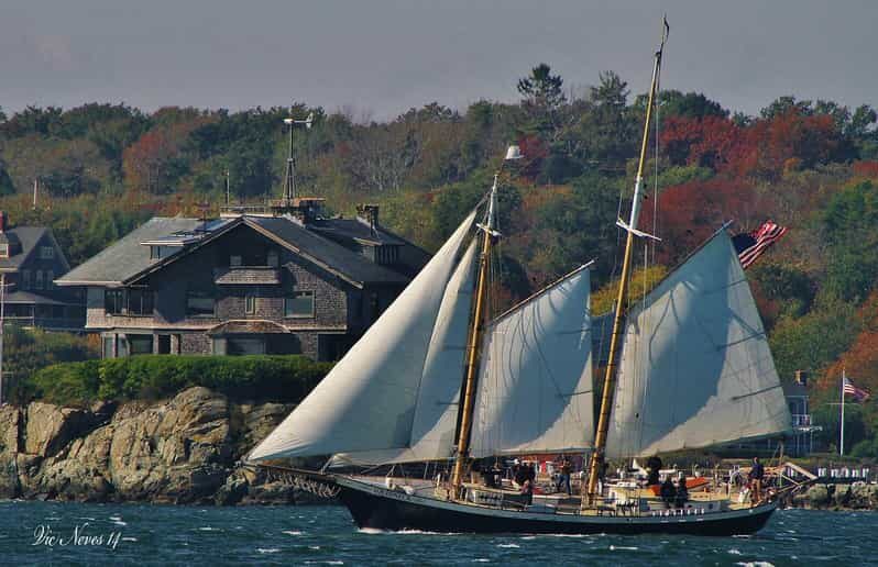 Newport: Morning Mimosa Sail aboard Schooner Aquidneck - An In-Depth Look at the Experience