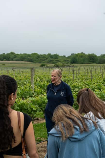 Newport: Vineyards Winery Tour + Tasting - Exploring Newport Vineyards: What’s on Offer?