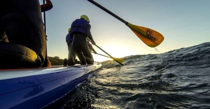 Newquay: Super SUP Tour - What Does the Super SUP Tour in Newquay Offer?