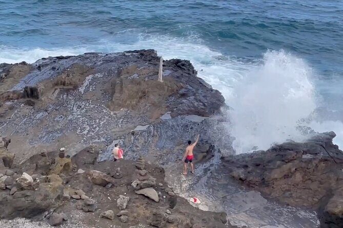 Next Level Oahu Circle Island Tour Snorkel w/Turtles and Byodo-In - The Sum Up