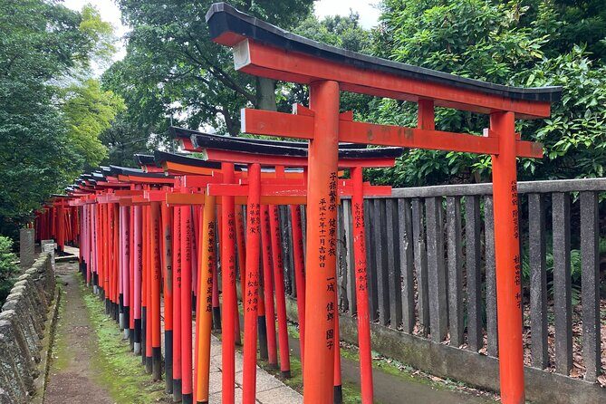 Nezu Shrine and Yanaka backstreet walking tour by Storyteller - What Makes the Tour Special?